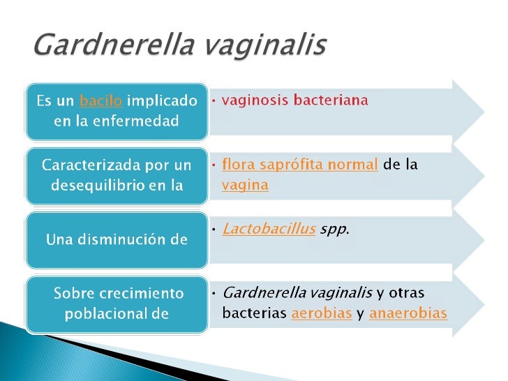 Gardnerella vaginalis presentacion