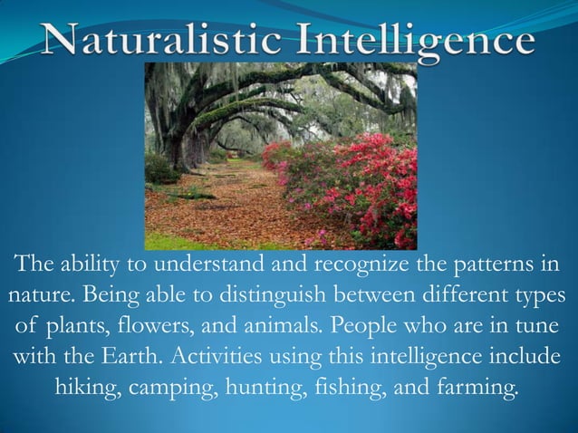 Gardner’s multiple intelligences | PPTX | Hobbies & Interests
