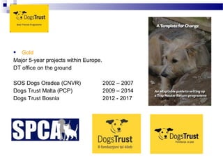 ITP March 2013 - Gareth Thomas - Dogs Trust International Work | PPT
