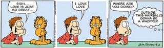 Garfield comics may.07