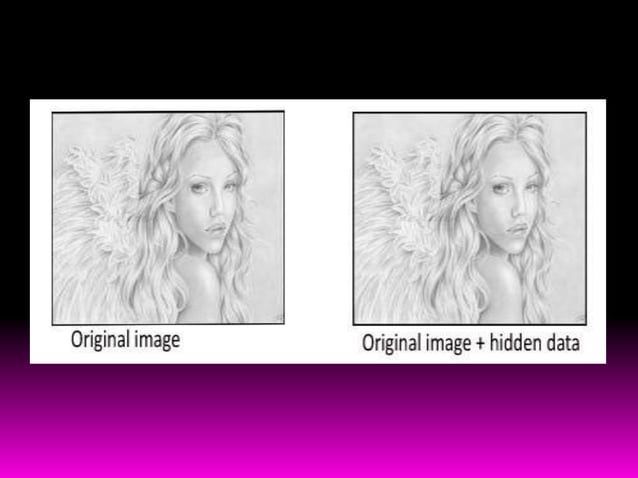 Cryptography and Steganography with watermarking | PPTX