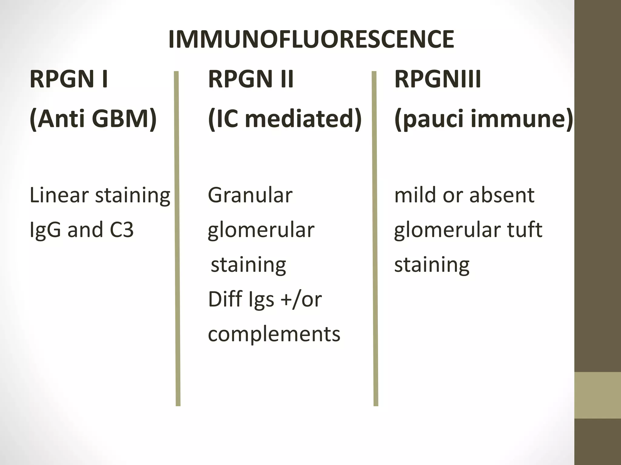 Approach to Rapidly Progressive Glomerulonephritis RPGN | PPTX
