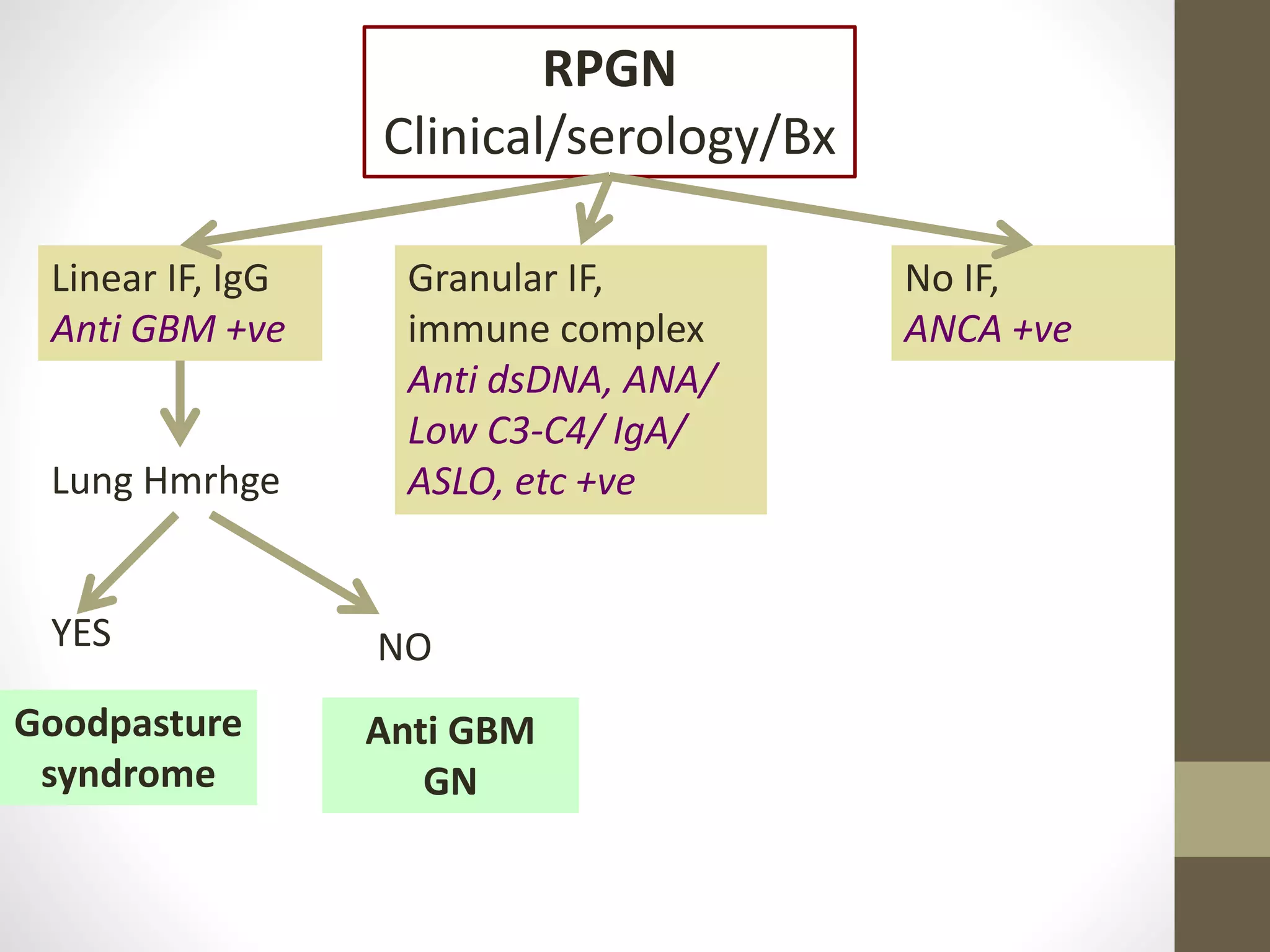 Approach to Rapidly Progressive Glomerulonephritis RPGN | PPTX