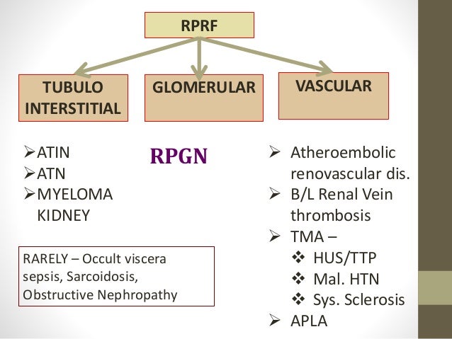 Approach to Rapidly Progressive Glomerulonephritis RPGN