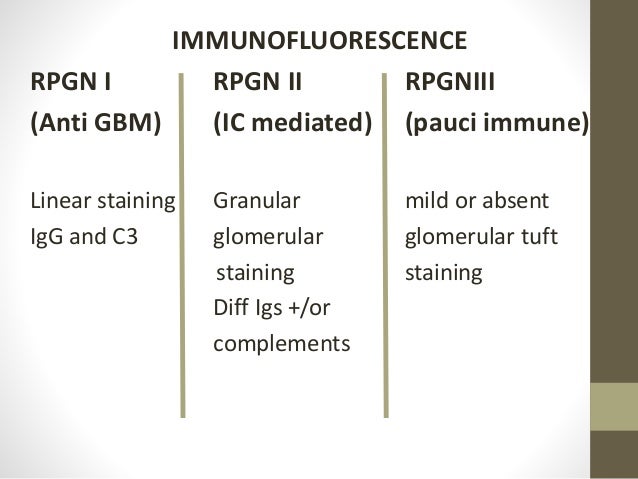 Approach to Rapidly Progressive Glomerulonephritis RPGN