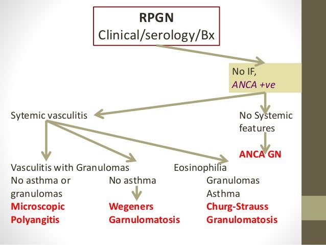 Approach to Rapidly Progressive Glomerulonephritis RPGN