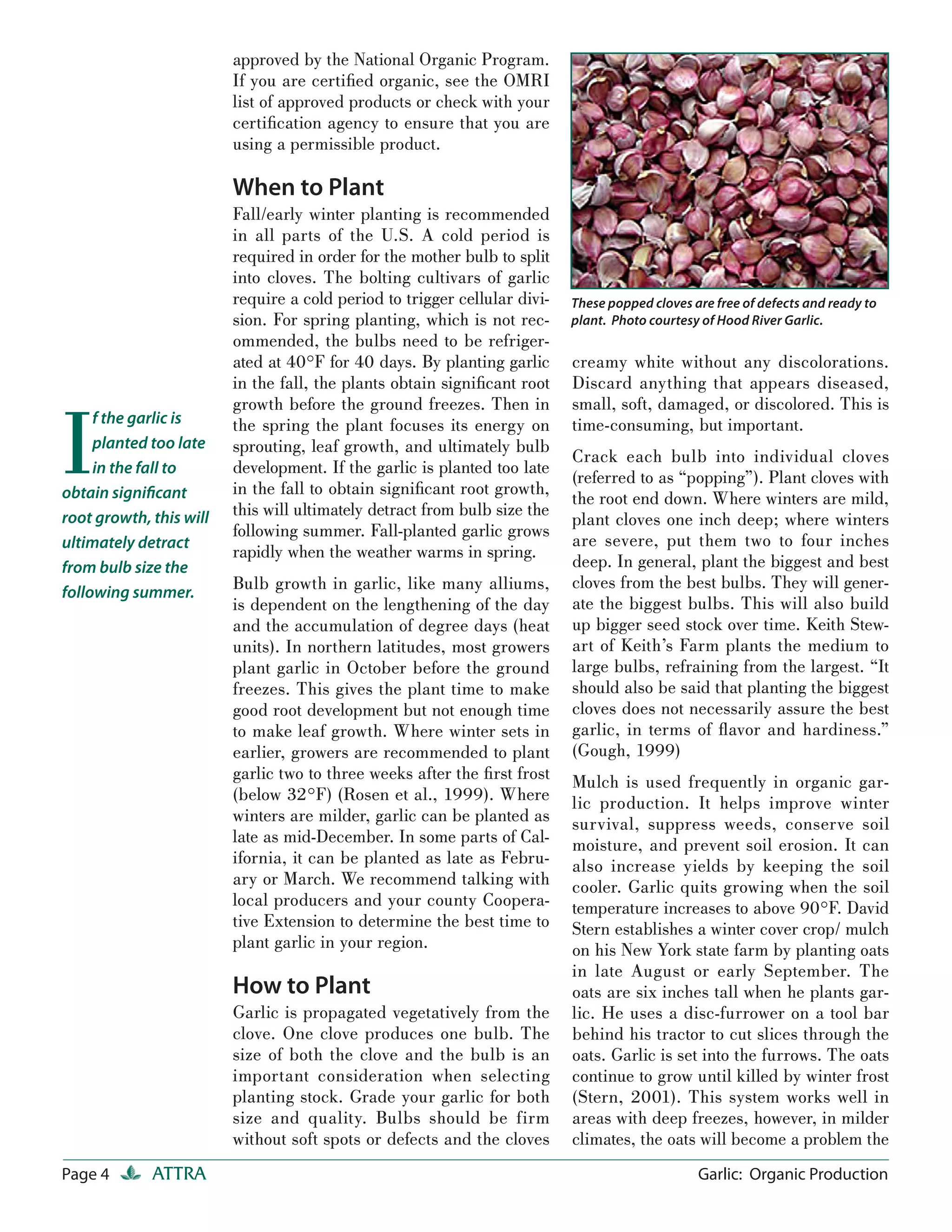 Garlic: Organic Production | PDF