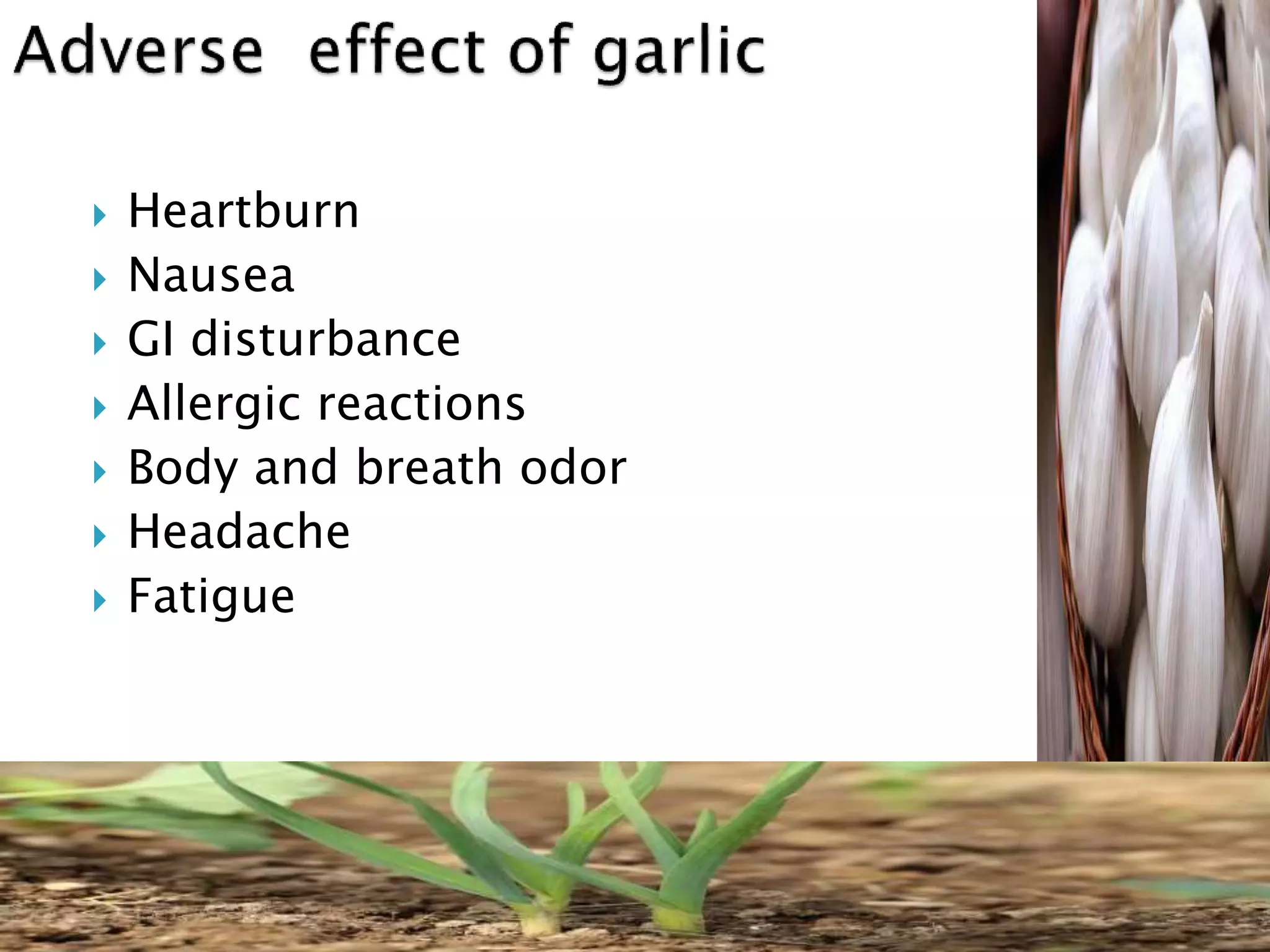 Garlic | PPTX