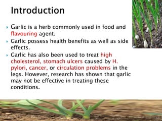 Garlic | PPTX