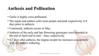 Presentation on Breeding Garlic as Vegetable | PPTX