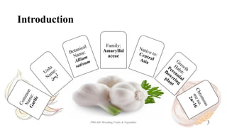 Presentation on Breeding Garlic as Vegetable | PPTX