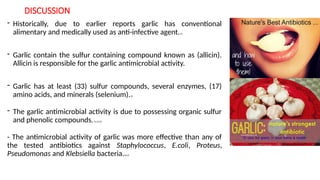 antimicrobial activity of garlic by Dr. Janan Mohammed Salih | PPTX