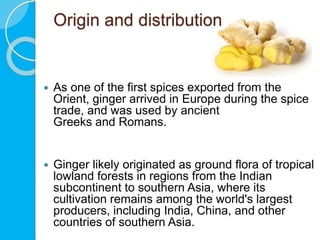 Garlic and Ginger.pptx