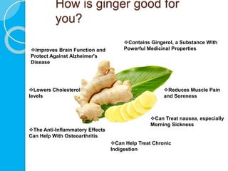 Garlic and Ginger.pptx