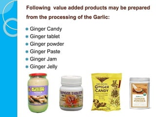 Garlic and Ginger.pptx
