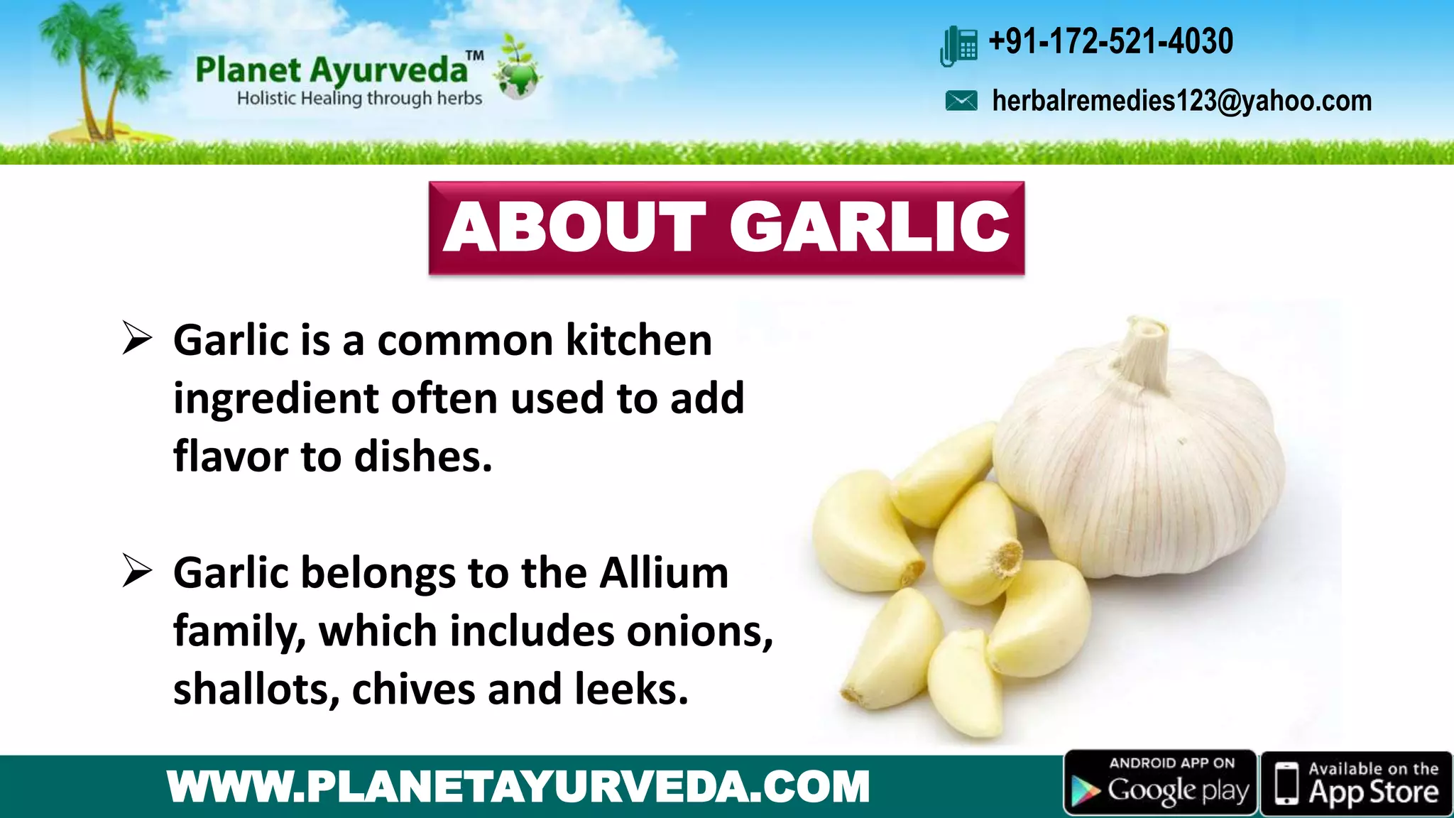 Garlic Capsules - Ayurvedic & Medicinal Properties, Health Benefits ...