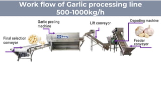 garlic peeling processing line by bway.pdf
