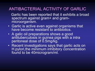 Garlic ppt | PPTX