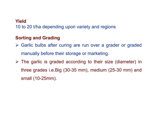 garlic rajali for class jijhhhhhggghhgg.pptx