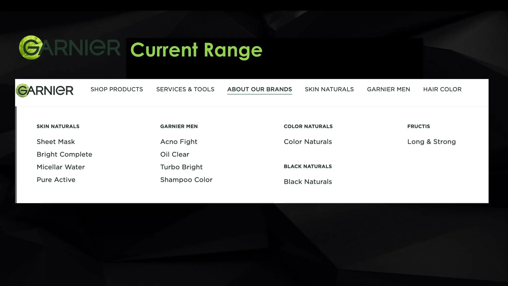 Garnier BP works and designs for POSM and POS | PPT