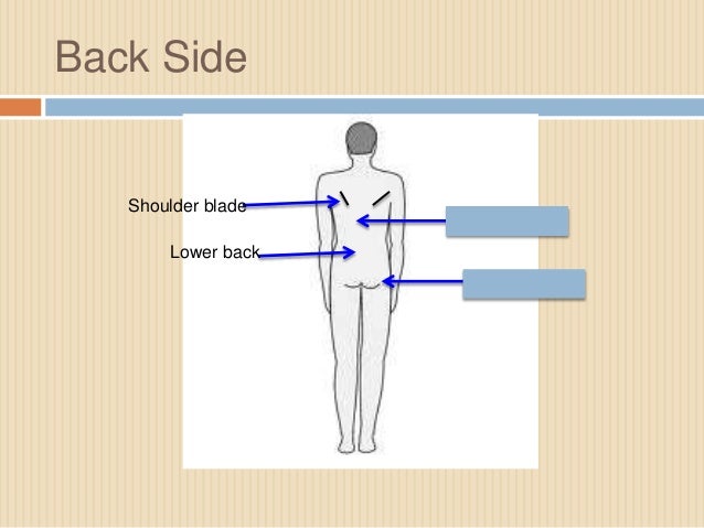 Bodyparts2 back and-inside