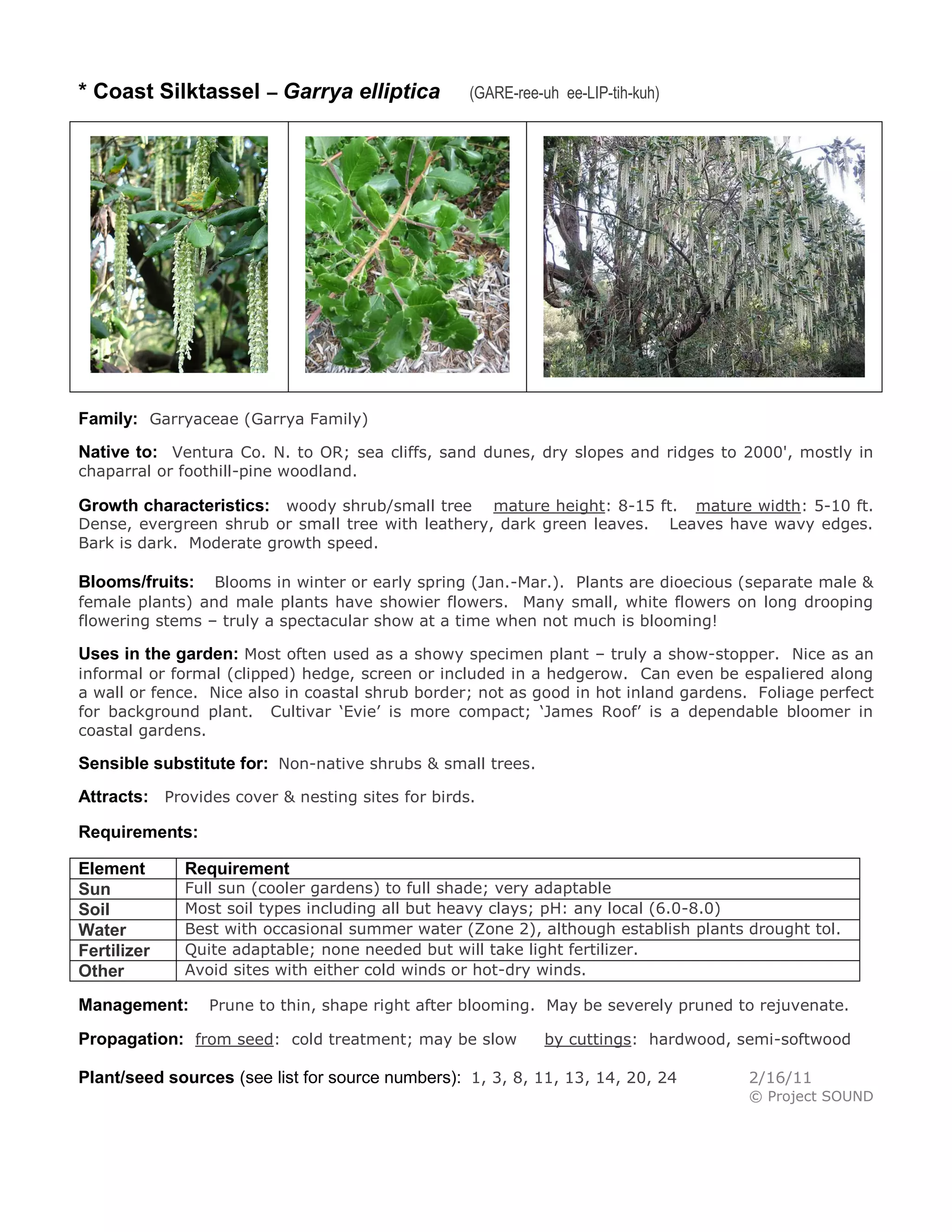 Garrya elliptica | PDF