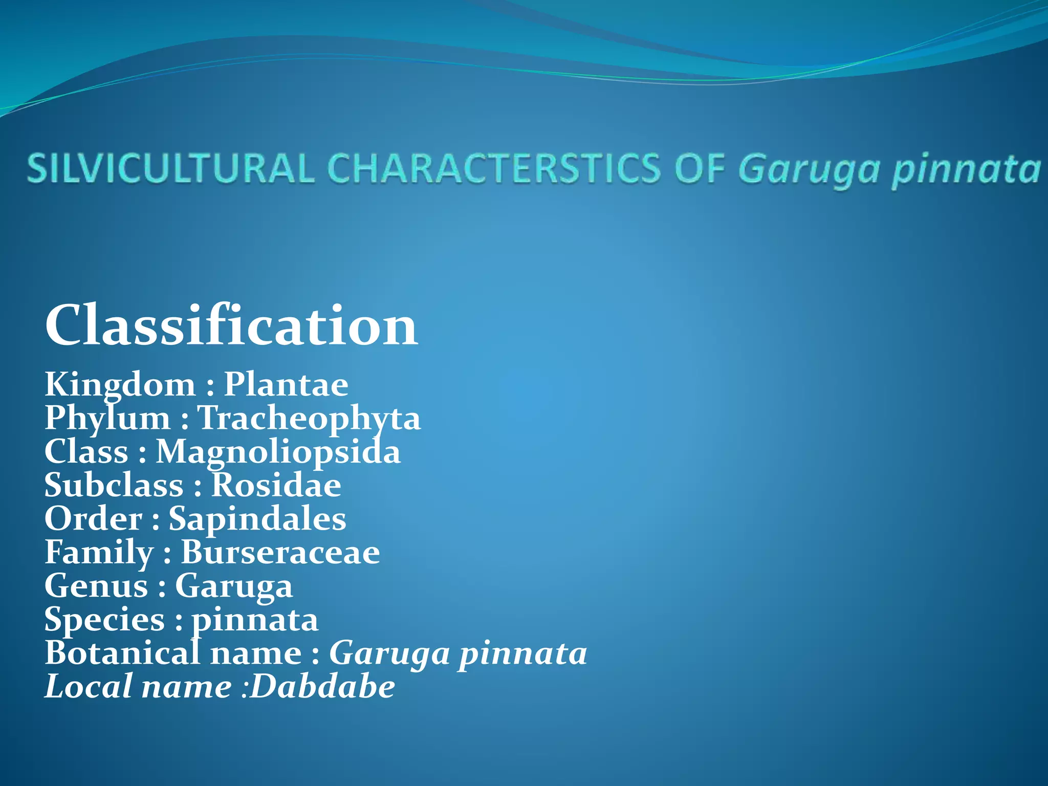 Garuga pinnata | PPTX