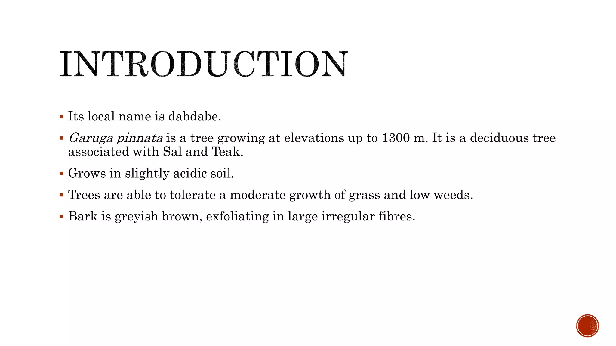 Garuga pinnata (dabdabe) | PPTX