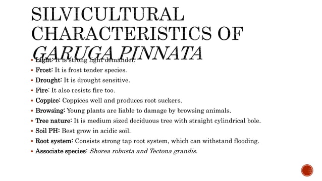 Garuga pinnata (dabdabe) | PPTX | Gardening | Home & Garden
