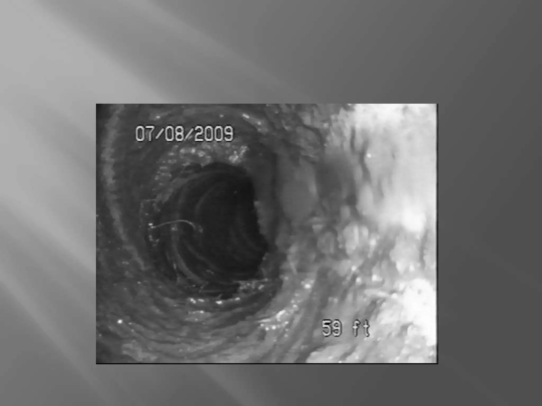 GSS Presentation | PPT