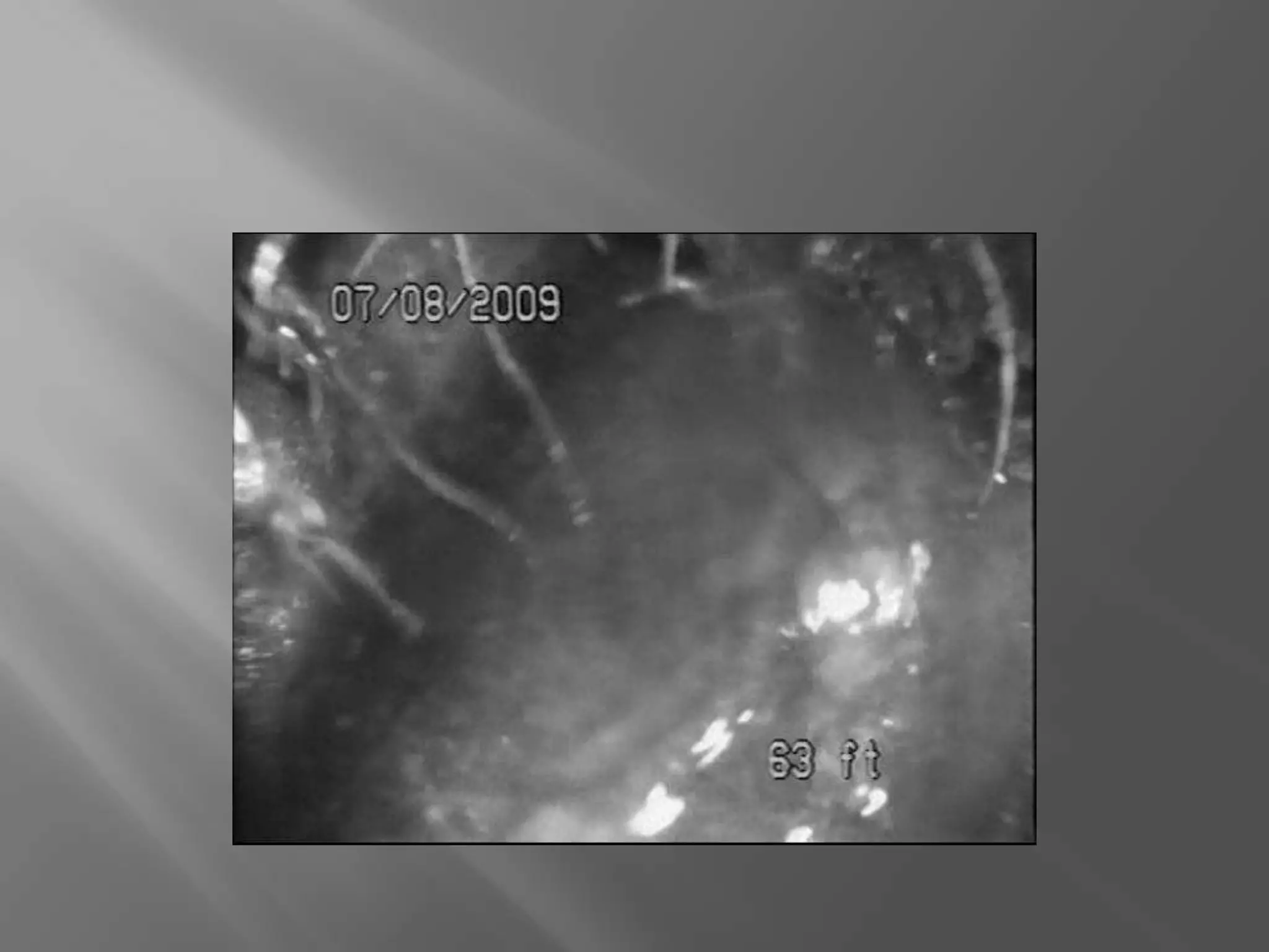 GSS Presentation | PPT