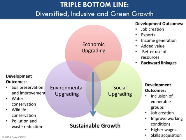 Global Value Chains and Development - Concepts and Methodologies | PDF | Logistics | Business