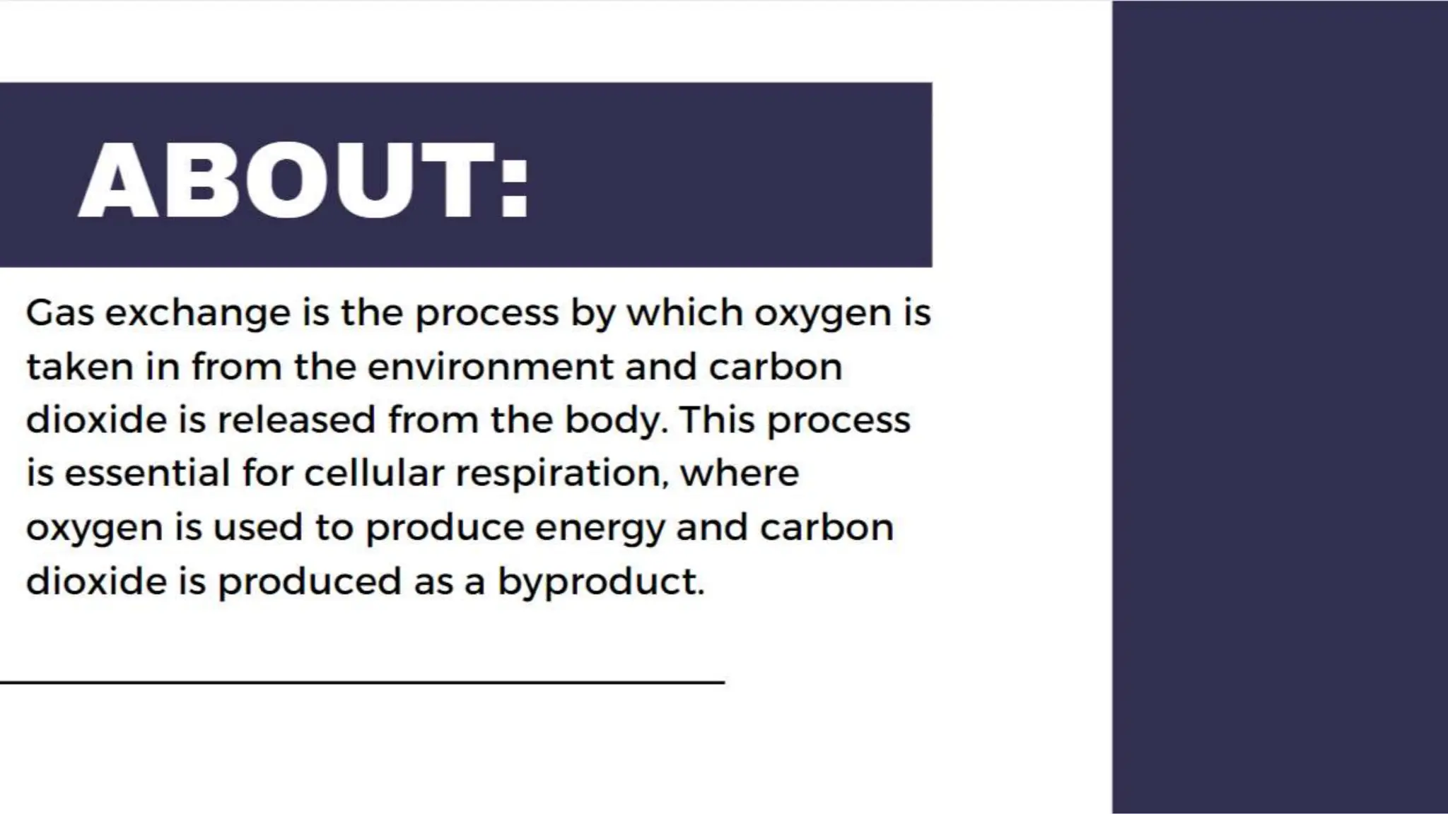 Gas-Exchange-in-Animals fourth quarter.pptx