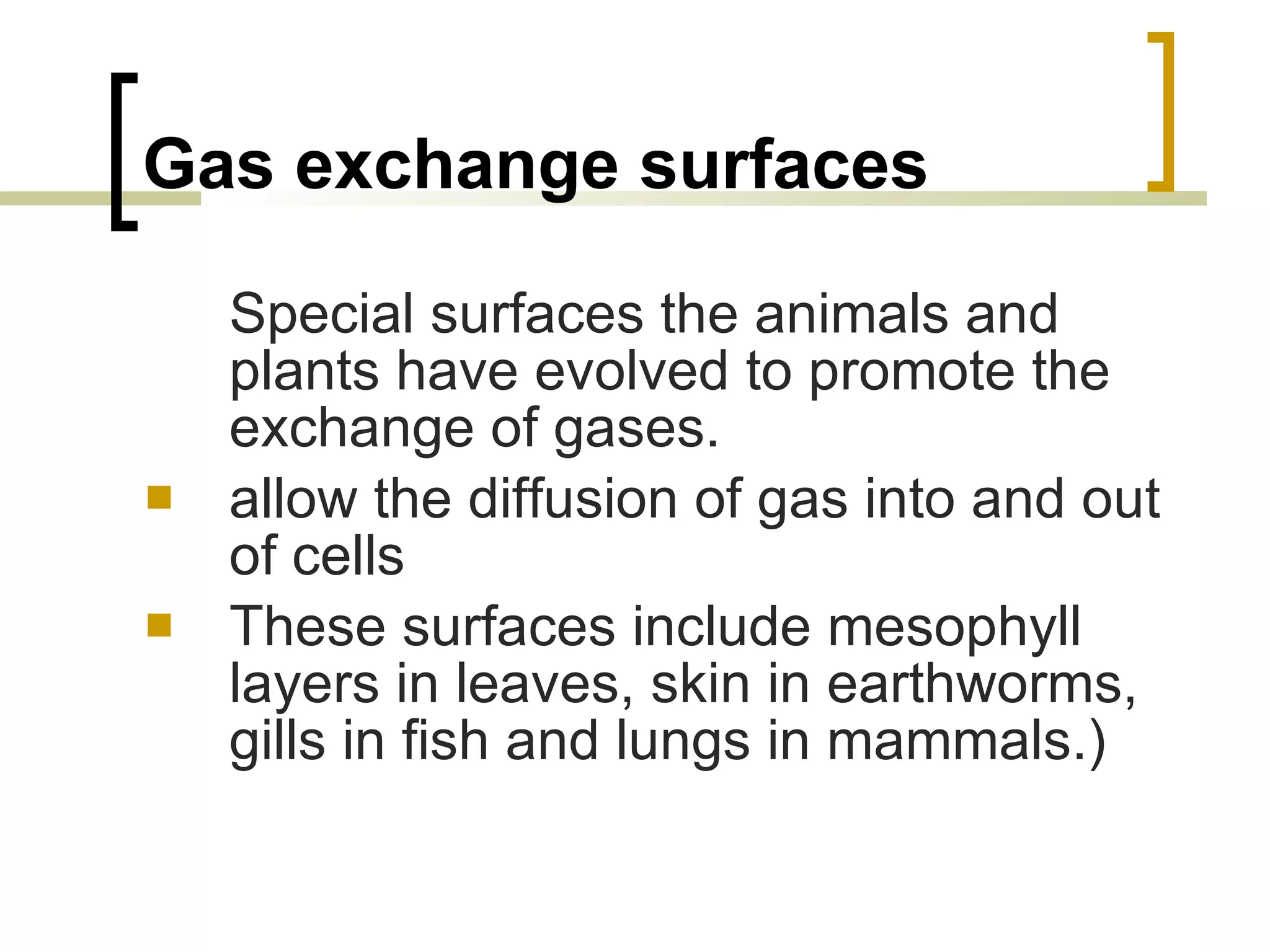 Gas Exchange Surfaces | PPT