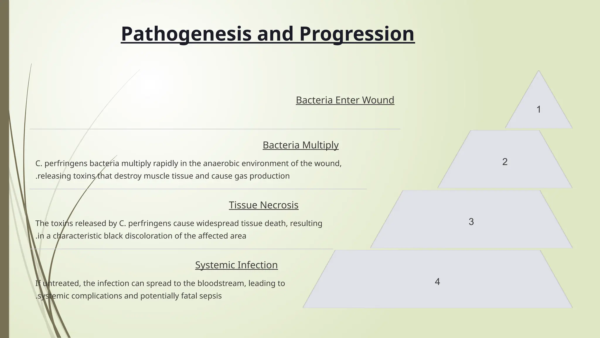 Gas-Gangrene-A-Serious-Bacterial-Infection.pptx