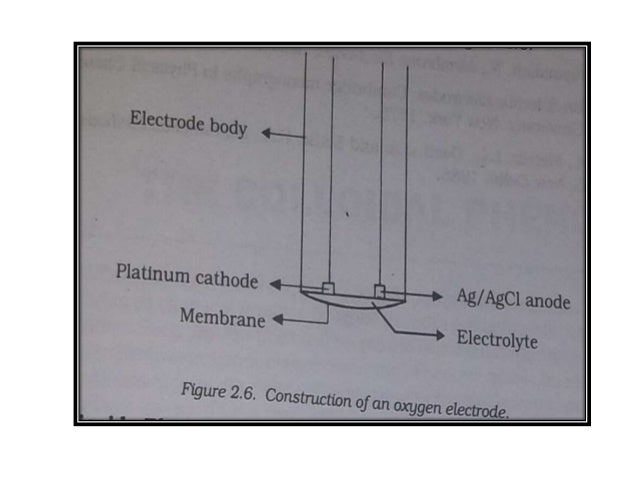 Gas sensing electrodes