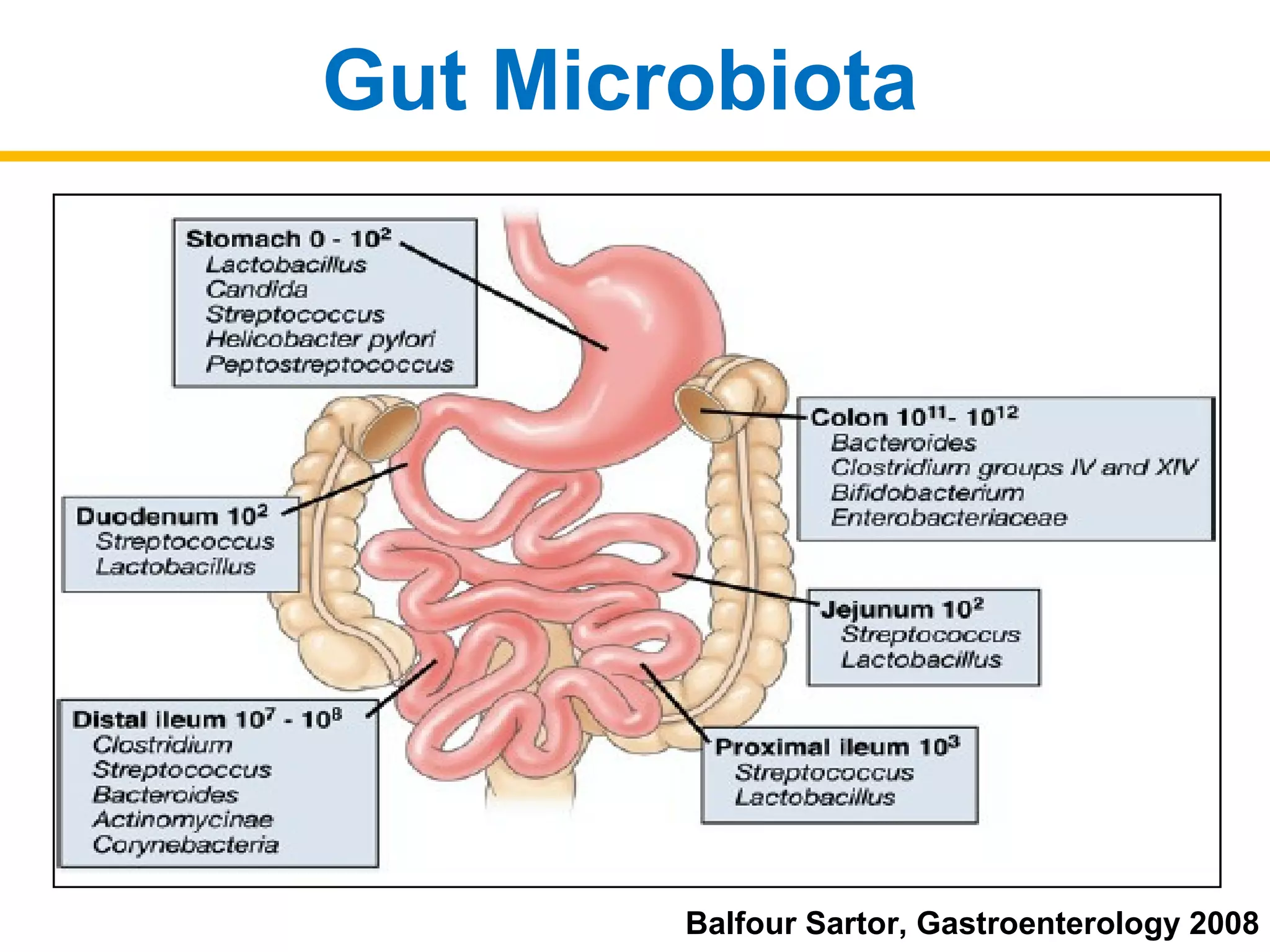 Gasbarrini A. Microbiota, Antibiotici e Probiotici in Gastroenterologia. ASMaD 2016 | PPT