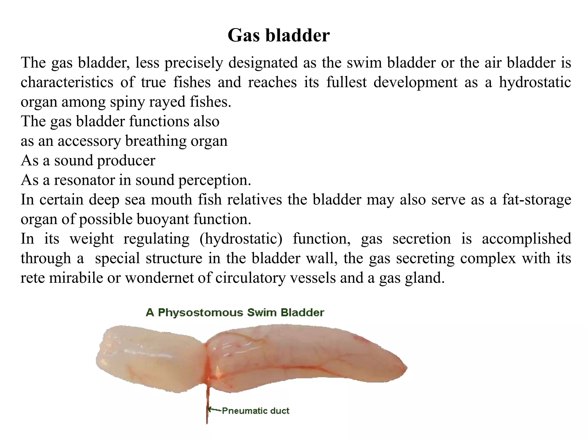 Gas bladder.pptx
