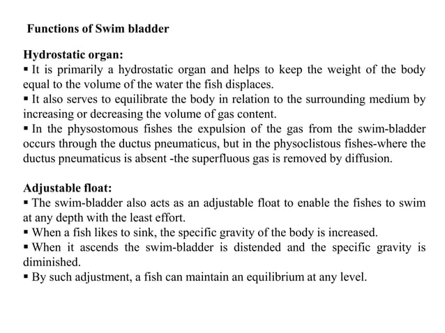 Gas bladder.pptx