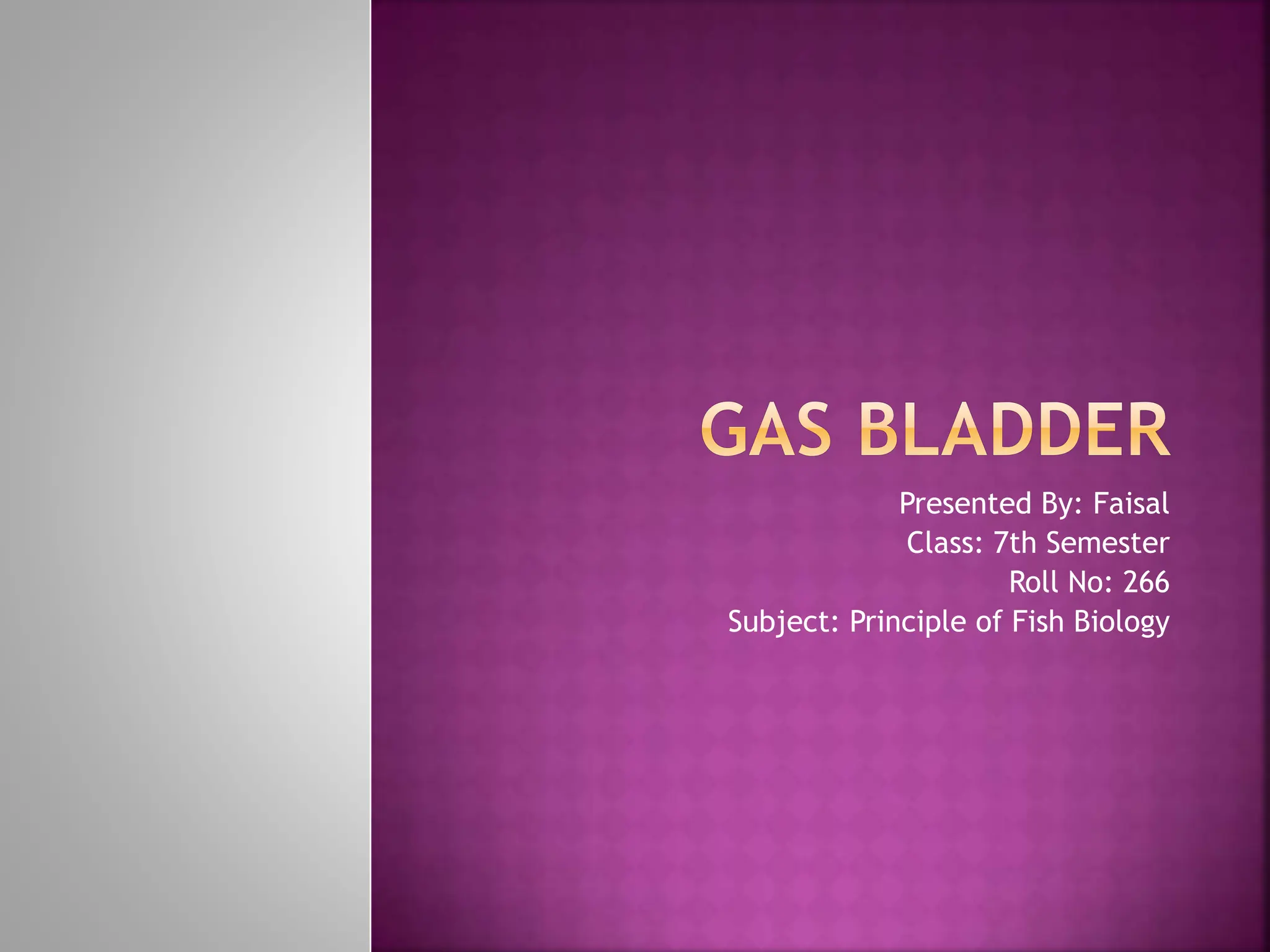 Gas bladder and its functions in fishesr.pptx
