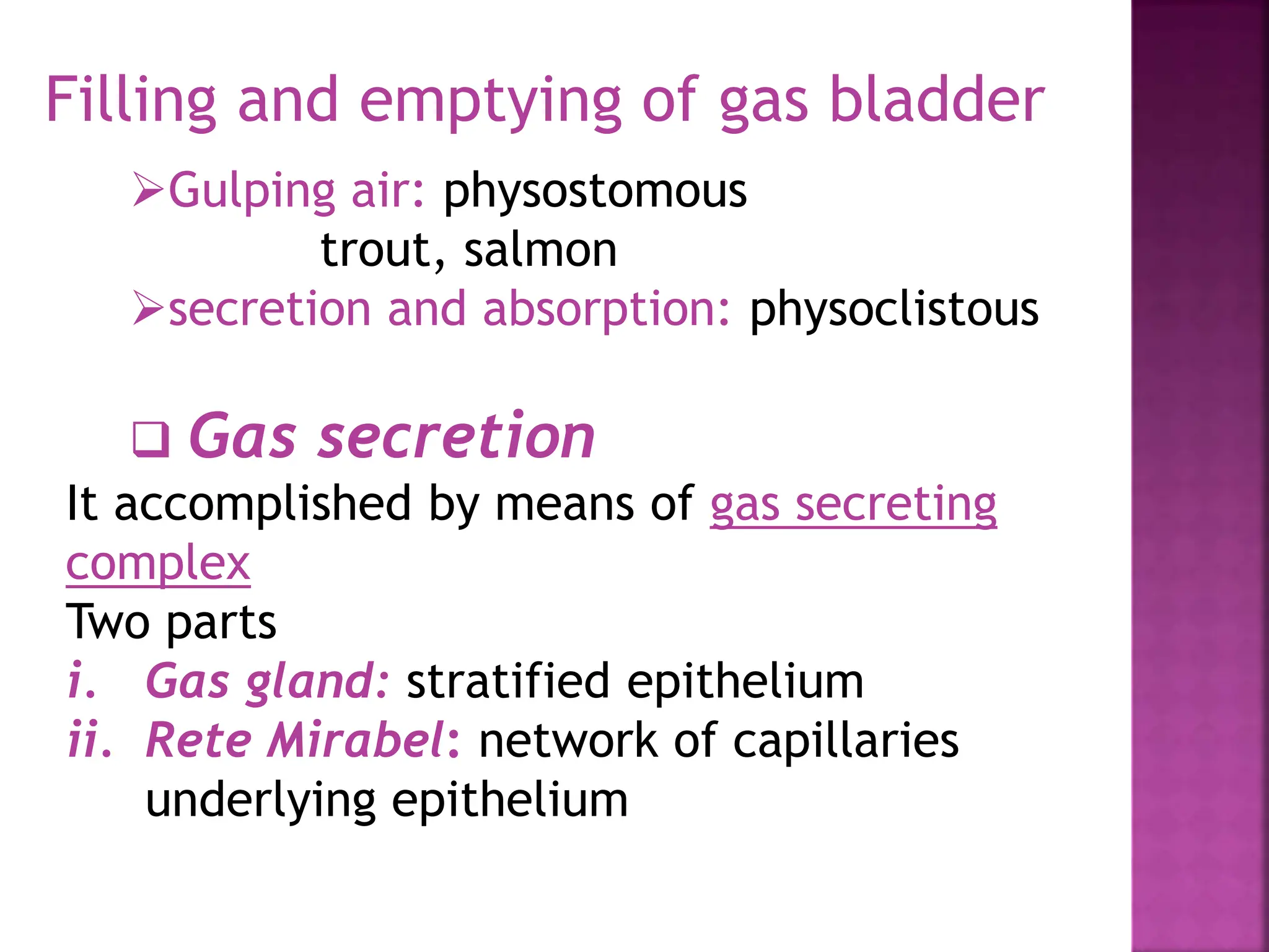 Gas bladder and its functions in fishesr.pptx