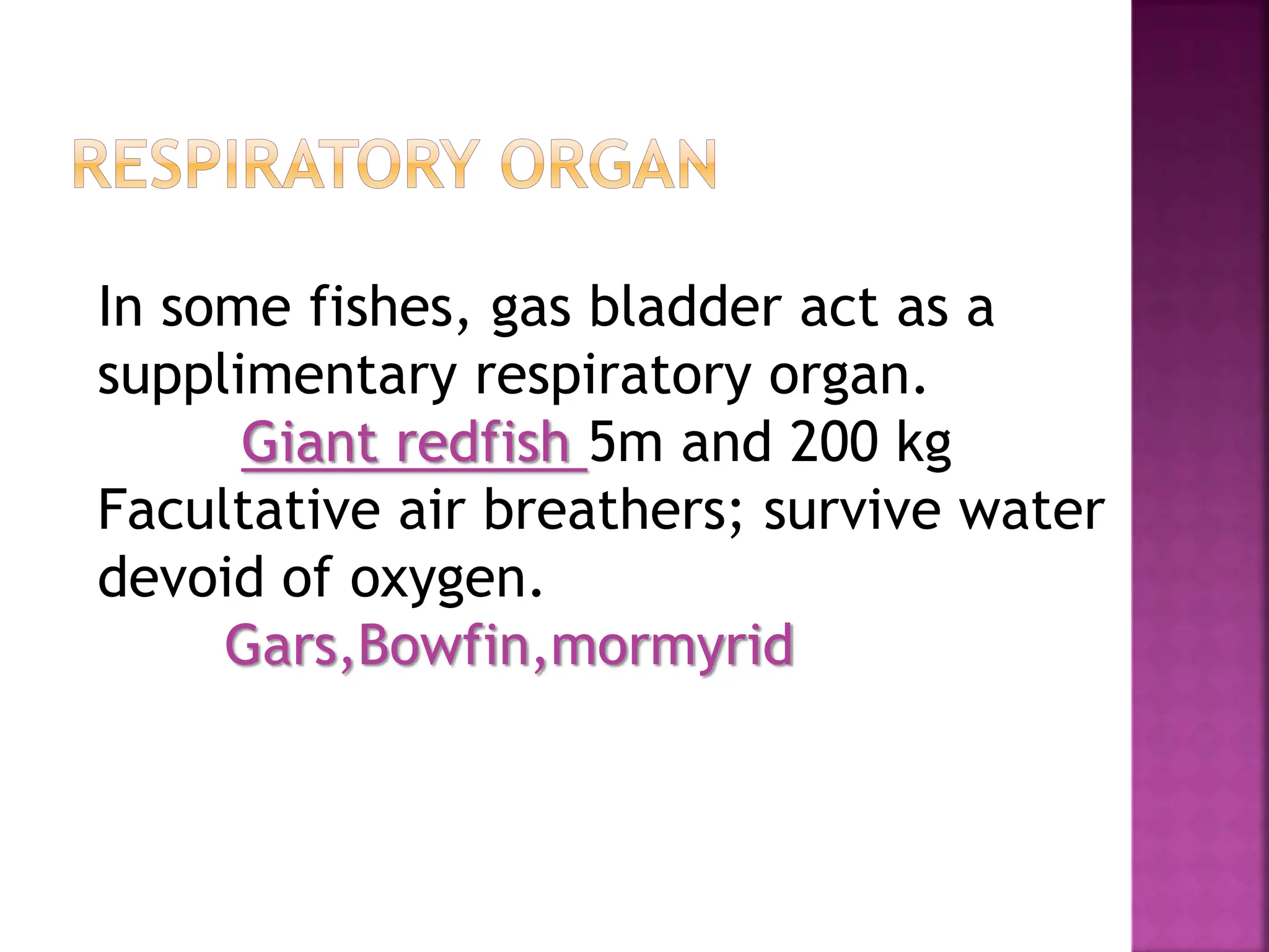 Gas bladder and its functions in fishesr.pptx