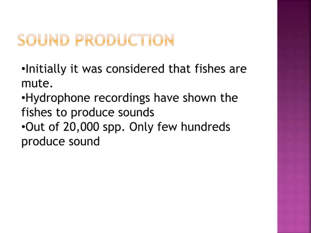 Gas bladder and its functions in fishesr.pptx | Fish and Aquariums | Pets