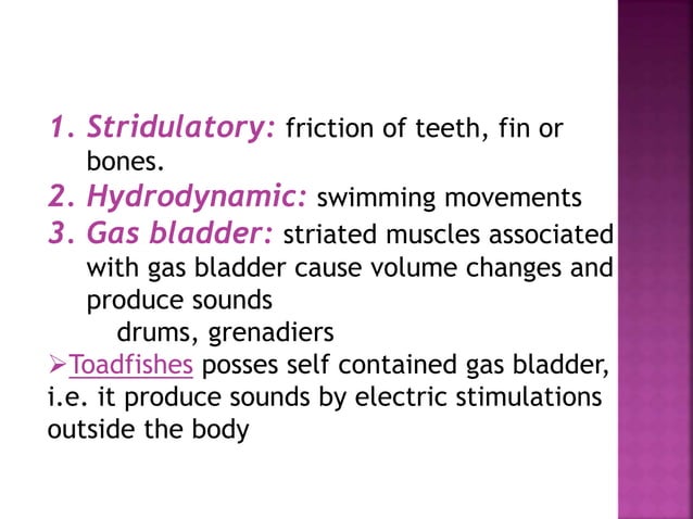 Gas bladder and its functions in fishesr.pptx | Fish and Aquariums | Pets