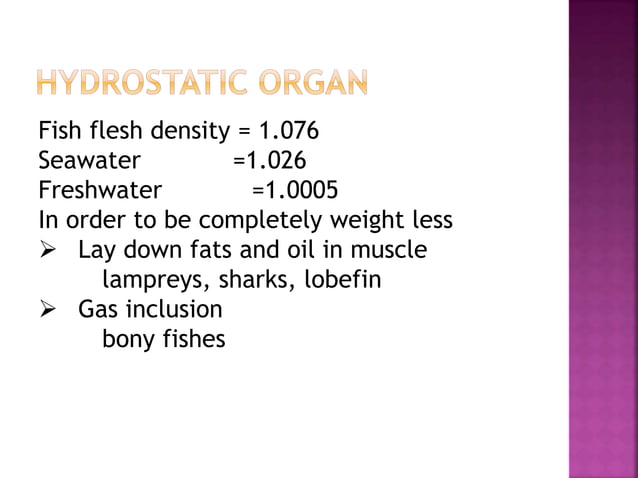 Gas bladder and its functions in fishesr.pptx | Fish and Aquariums | Pets