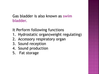 Gas bladder and its functions in fishesr.pptx | Fish and Aquariums | Pets