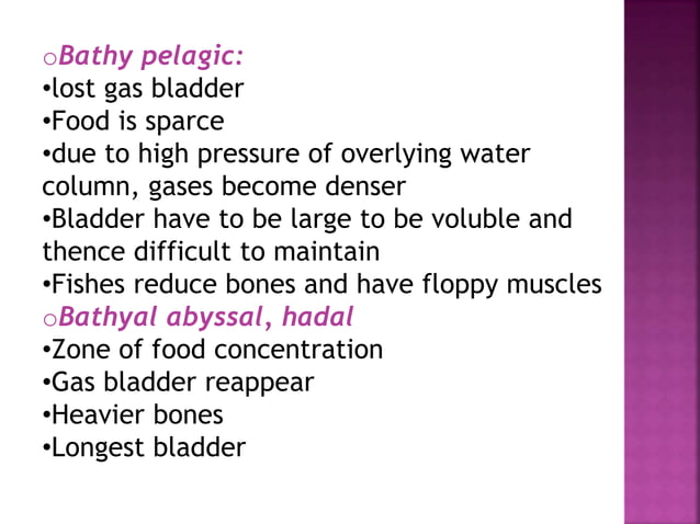 Gas bladder and its functions in fishesr.pptx | Fish and Aquariums | Pets