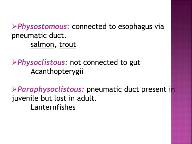 Gas bladder and its functions in fishesr.pptx | Fish and Aquariums | Pets