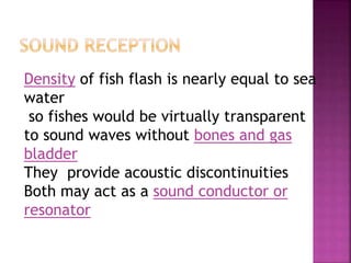 Gas bladder and its functions in fishesr.pptx | Fish and Aquariums | Pets