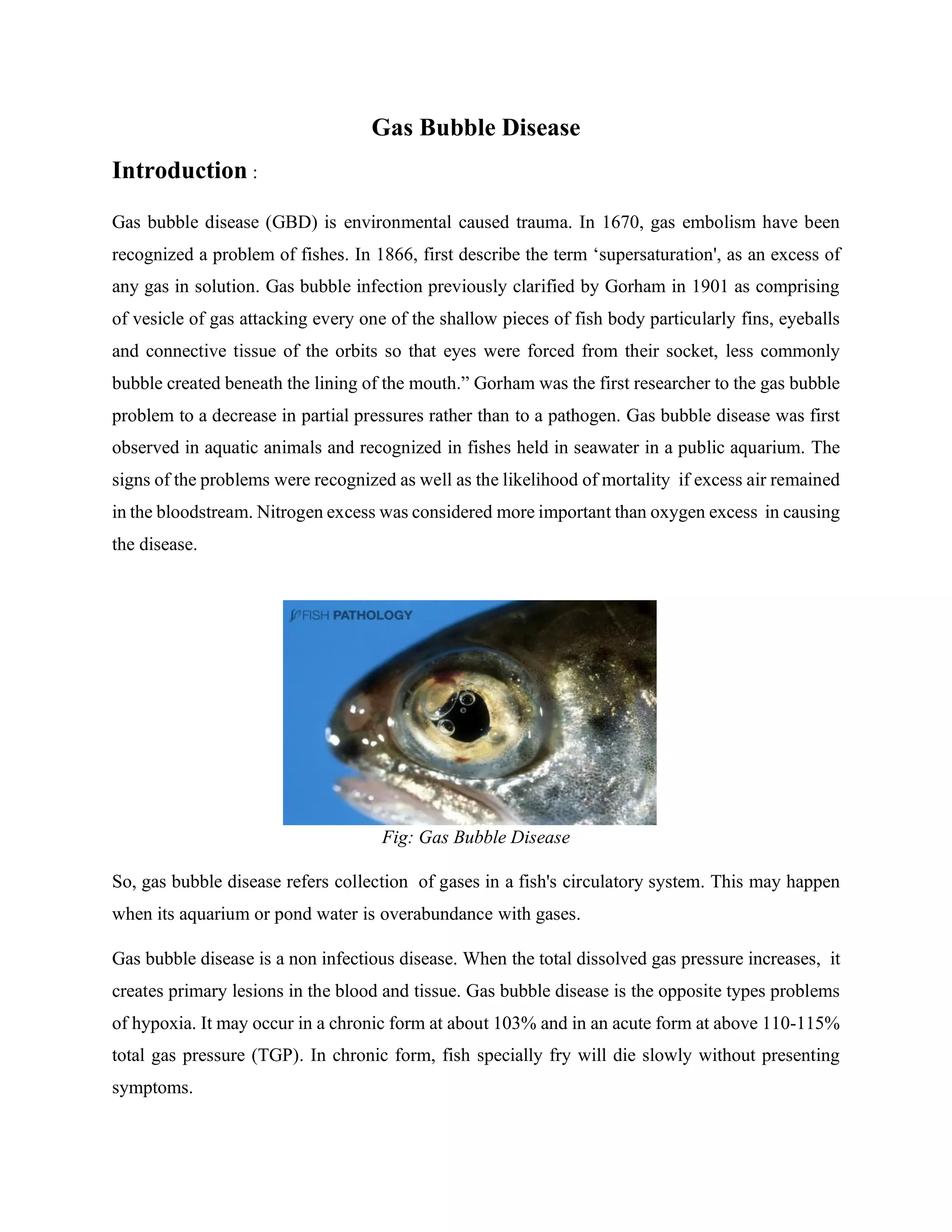Gas bubble disease of fish | PDF